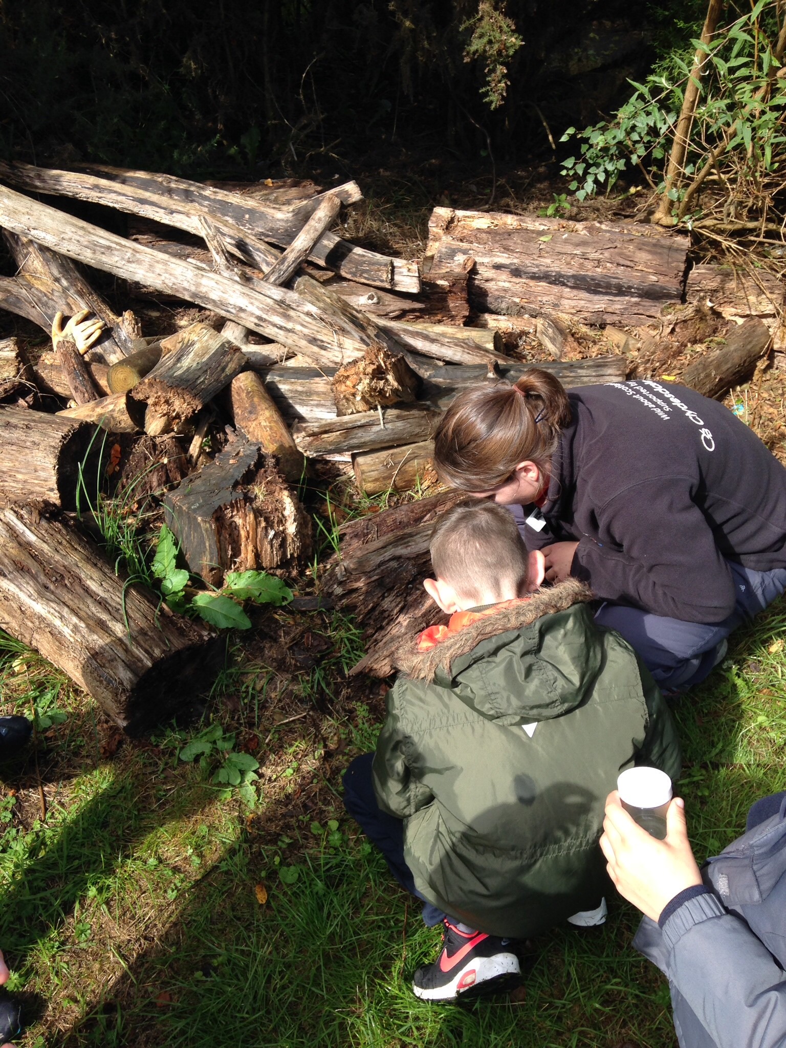 Animal Surveys & Habitats