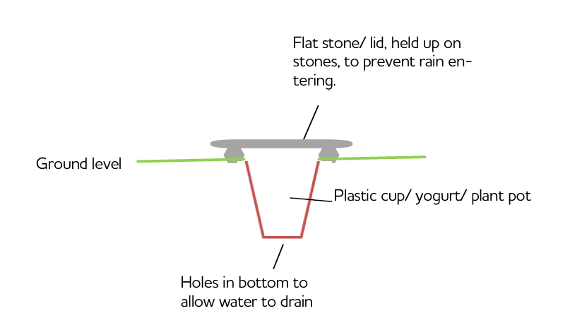 Animal Surveys & Habitats: Pit-fall Traps