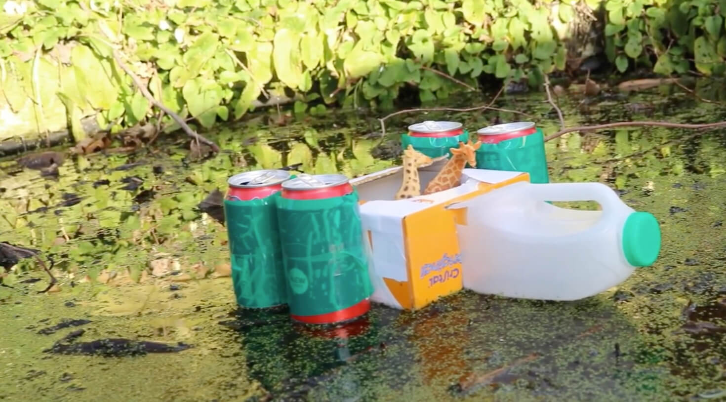 RZSS: Giraffe About Town